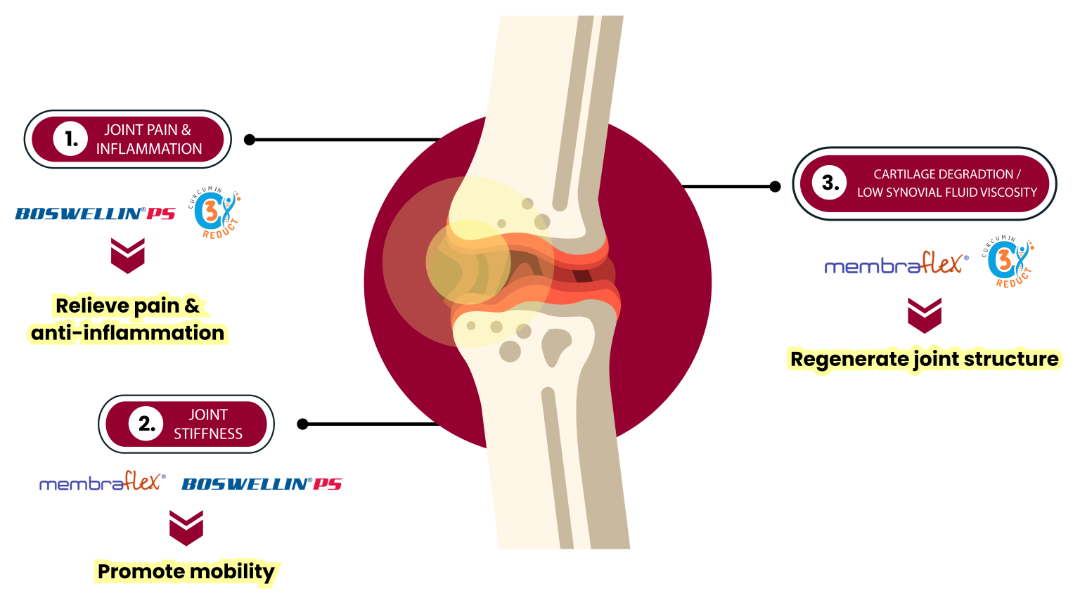 Move with Ease: Natural Triple-Action Joint Support - Eldon Healthcare